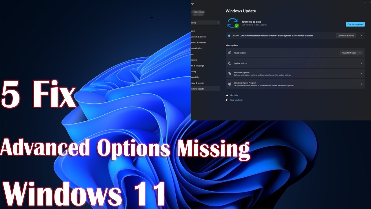 How to Access Advanced Startup Options in Windows 11 (Problem and ...