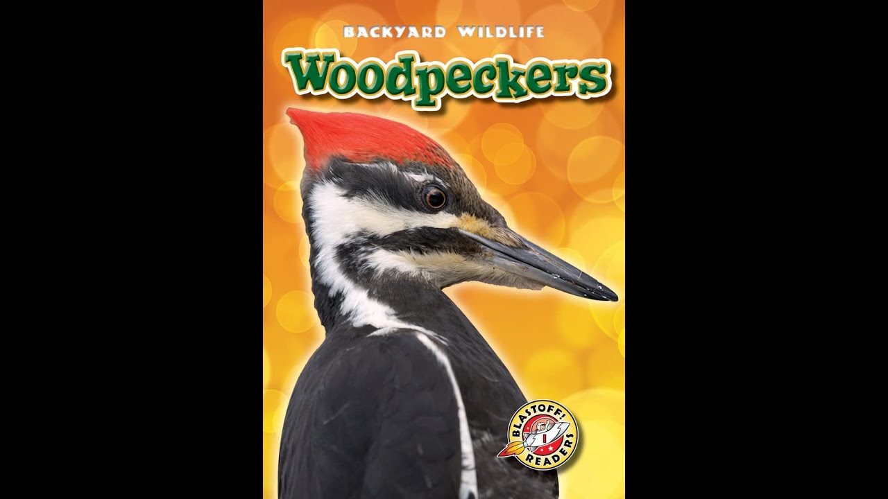Book #141 - Woodpeckers - YouTube