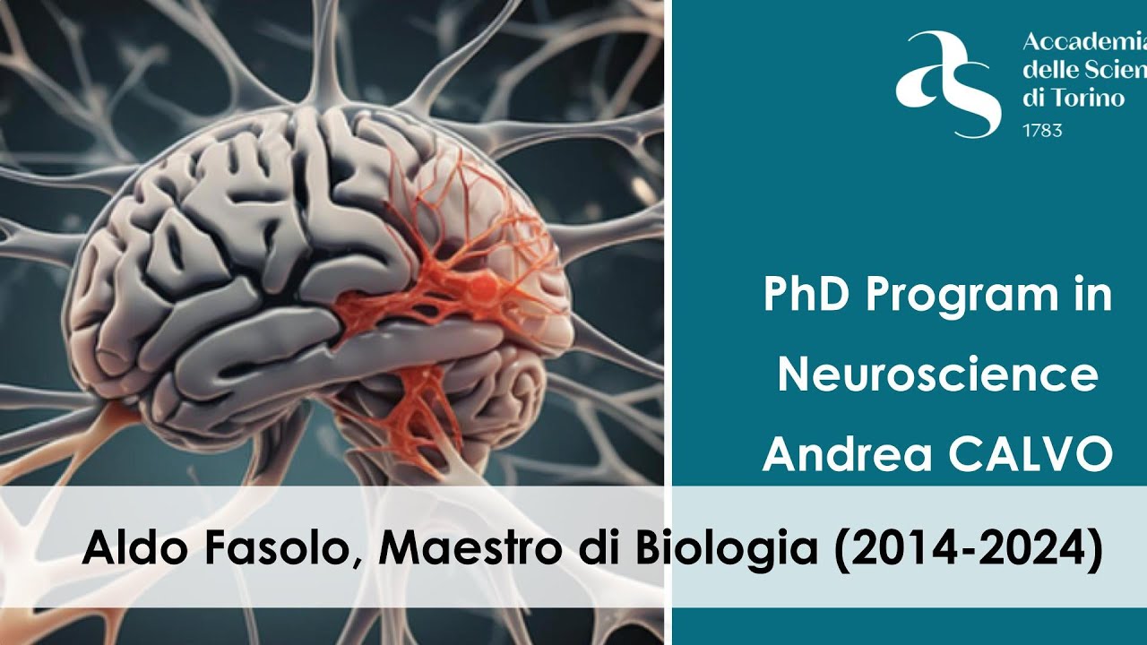 Andrea Calvo, PhD Program in Neuroscience, passato, presente e futuro ...