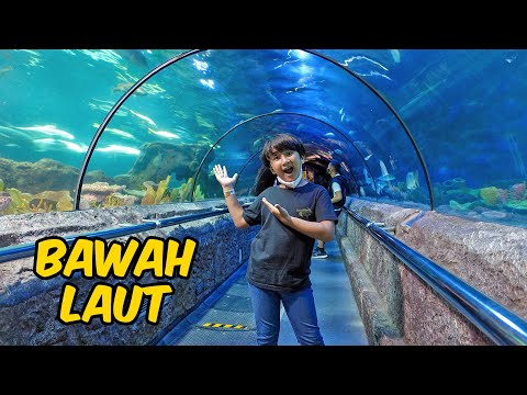WOW!! Aquarium Raksasa Bawah Laut di Seaworld Ancol | Superduper Ziyan