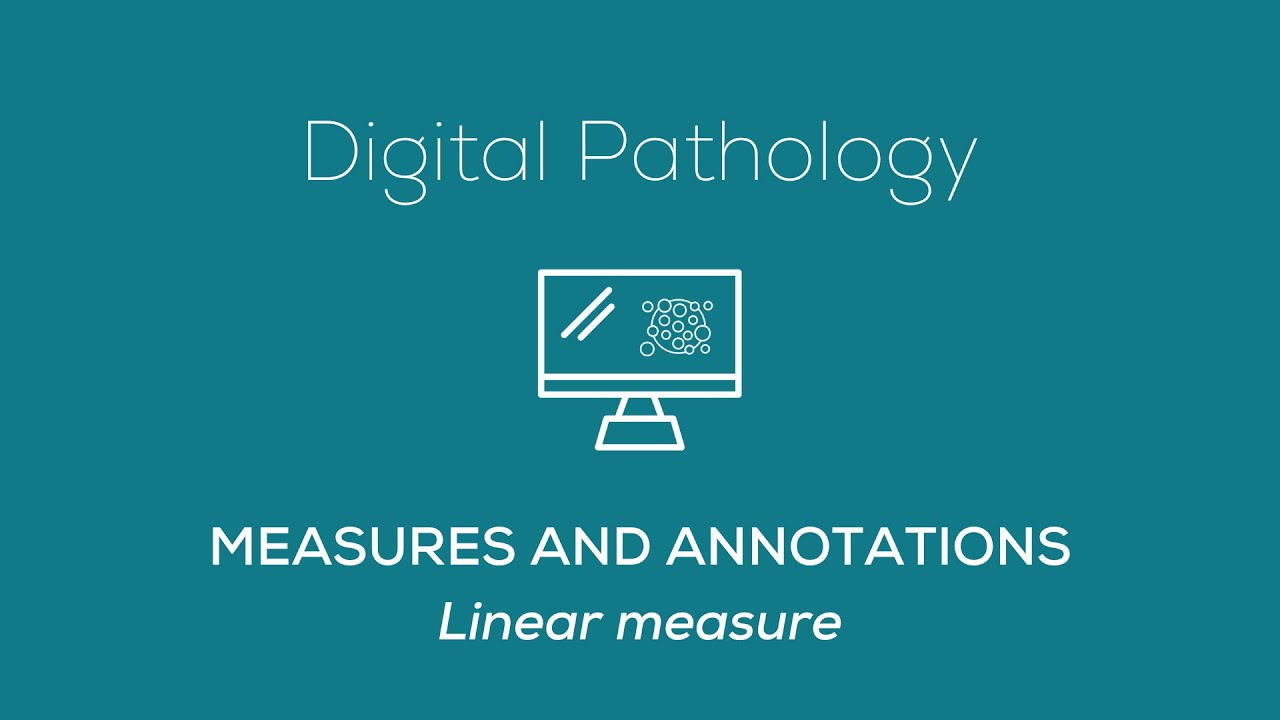 Digital Pathology - Measures and annotations - linear measure - YouTube