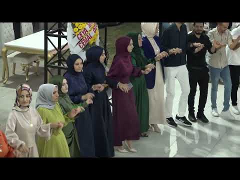 09 08 2024  PALMİYE BAHÇE