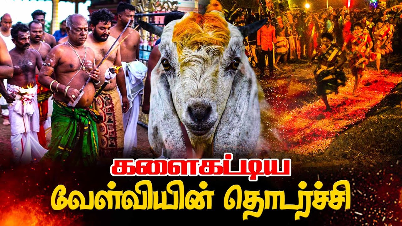 தமிழர்களின் இருப்பில் வேள்வி | தொன்மத்தை தொடரும் தாயக கிராமங்கள் ...