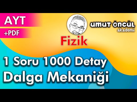 Fizik | AYT | 1 Soru 1000 Detay | ÖSYM Ne Sorar | Dalga Mekaniği | +PDF