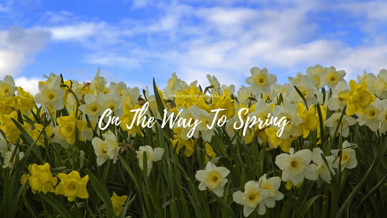On The Way To Spring - jina Lee - YouTube