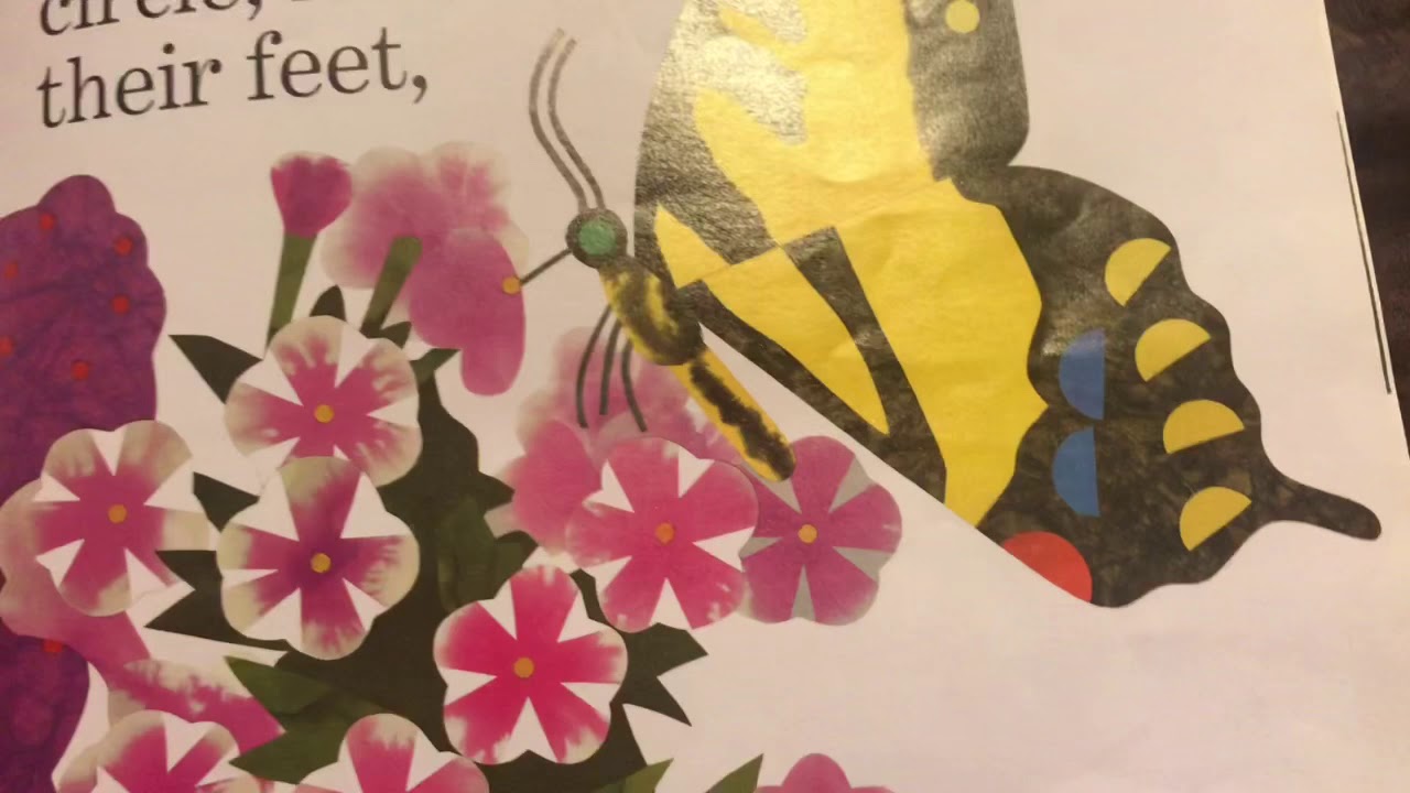 ‘Waiting for Wings’ by Lois Ehlert - YouTube