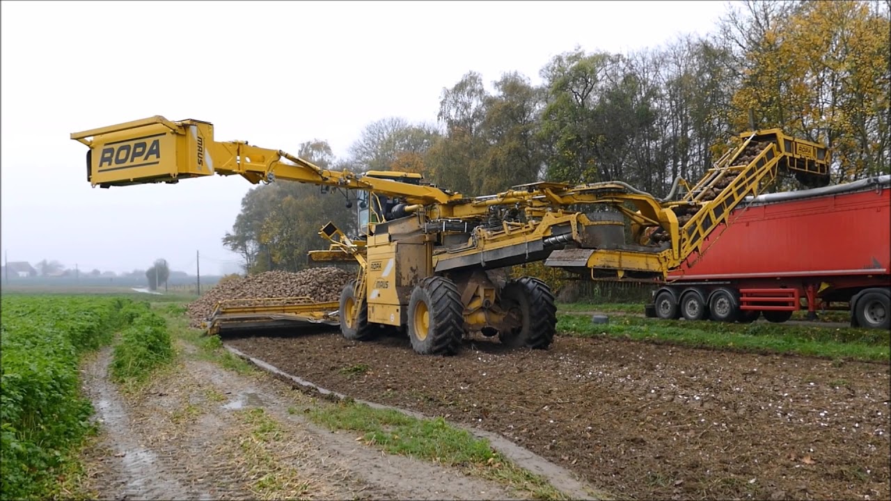 Ropa Maus 5 suikerbieten laden - Zuckerrüben laden - Sugar beet loading ...