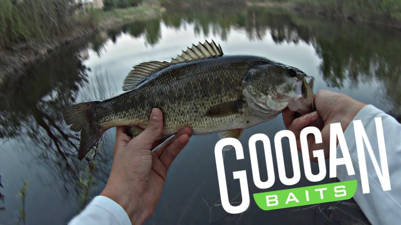 Catching Bass Using Googan Baits! - YouTube