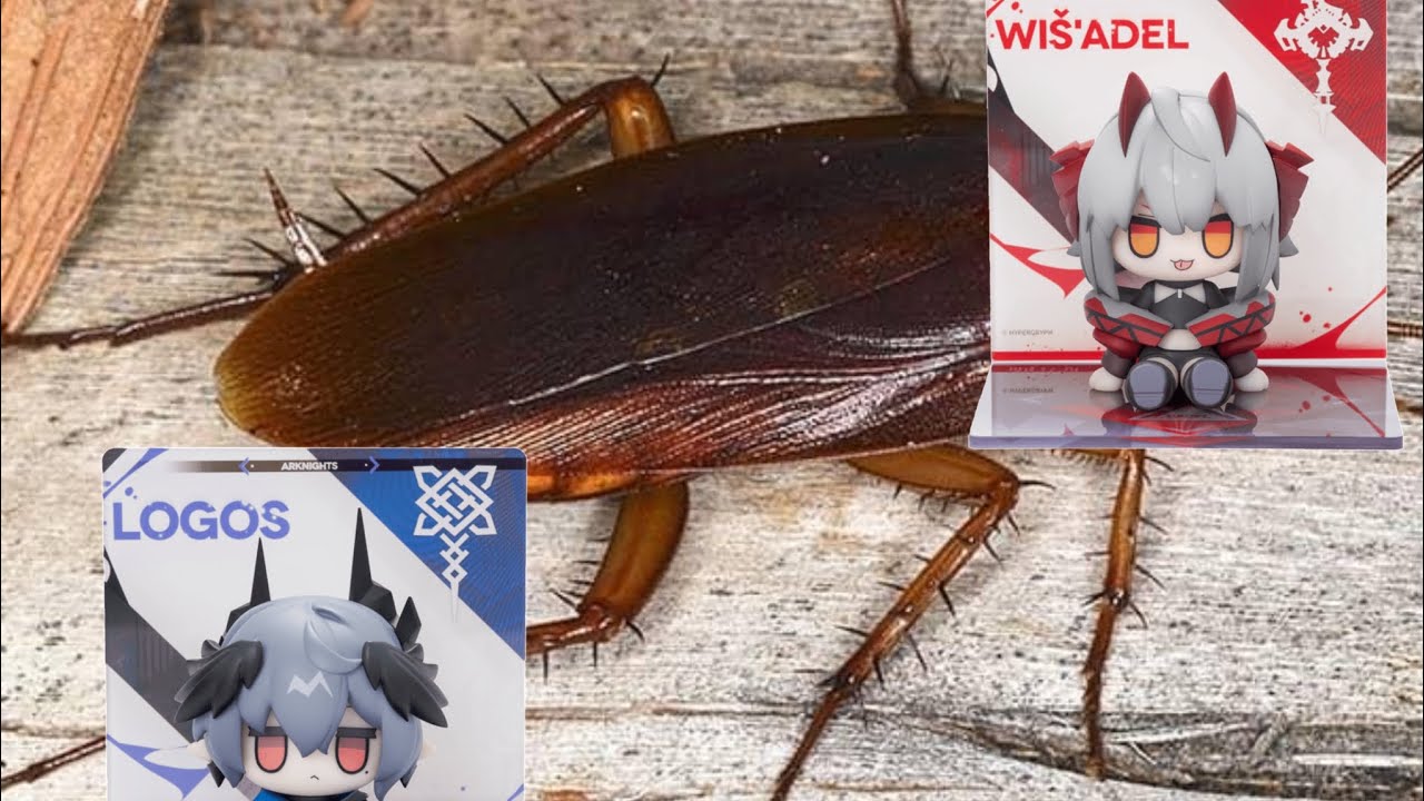 Pulling for Wisadel and Logos (spooky) - YouTube