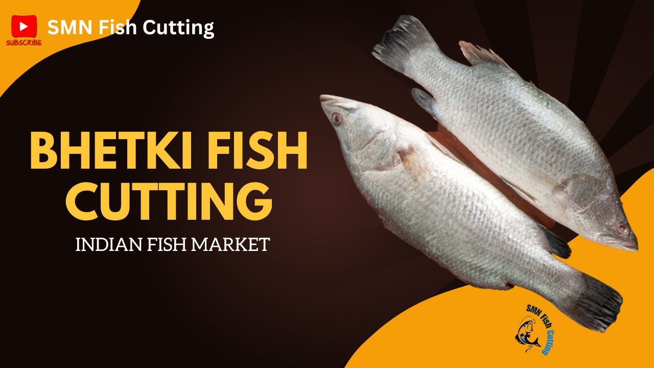 Skillful Bhetki Fish Cutting at Indian Fish Market – Full Process - YouTube