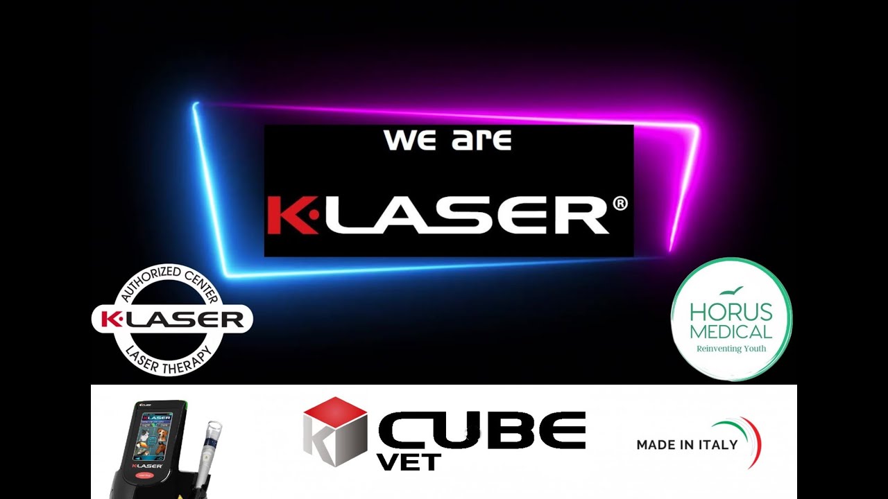 K-Laser Vet Resezione delle pliche ariepiglottiche con il K LASER CUBE ...