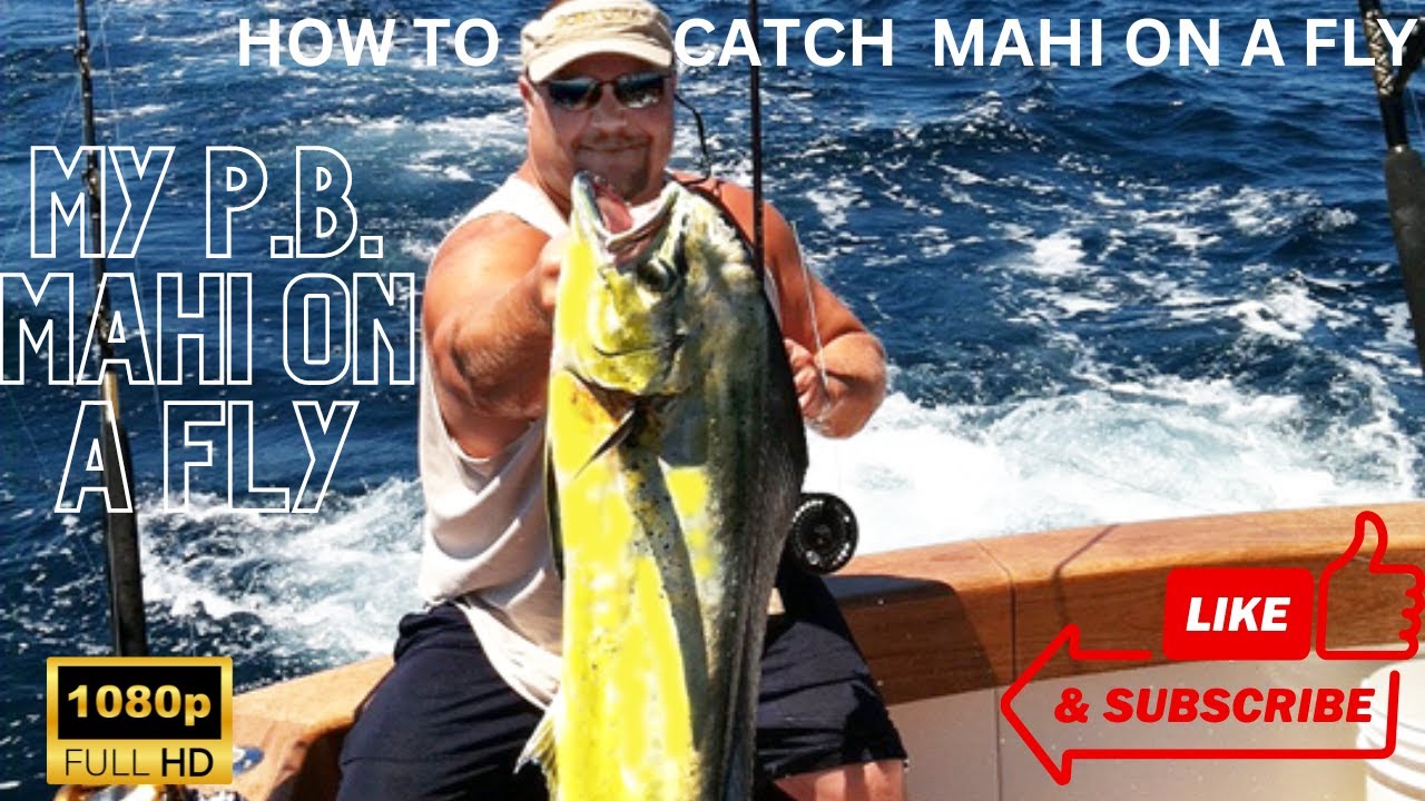 How to catch Mahi on a fly - YouTube