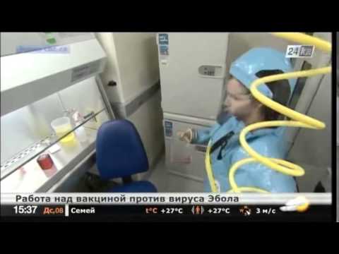 Канадские ученые работают над вакциной против вируса Эбола