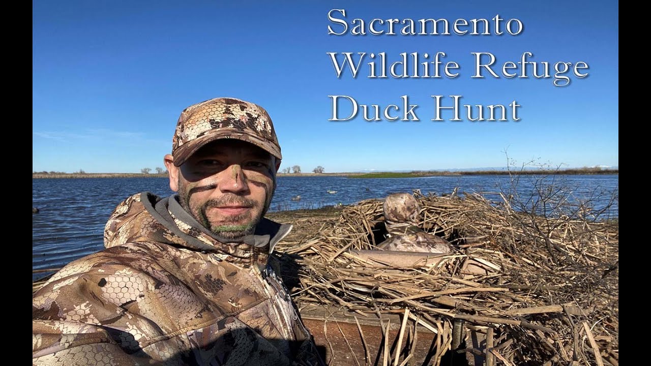 Sacramento Wildlife Refuge Duck Hunting 2022 - YouTube