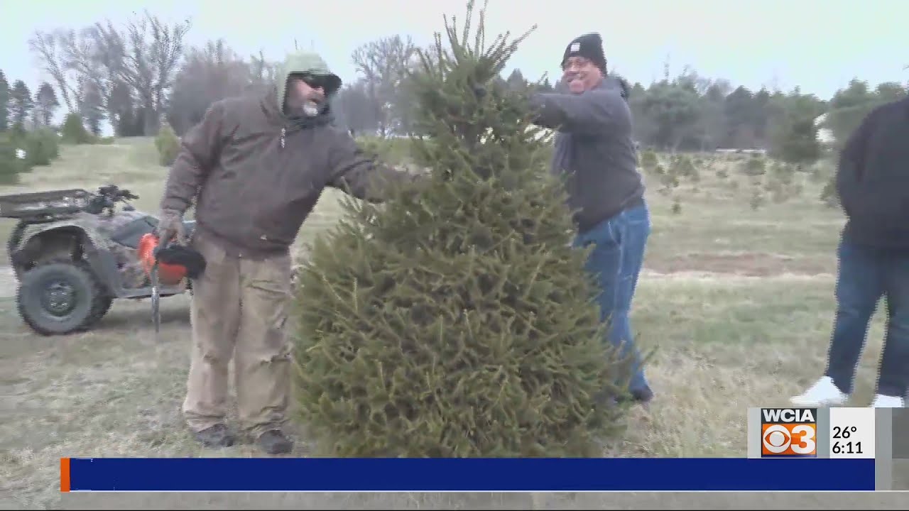 Harvest Heritage: North Fork Tree Farm - YouTube