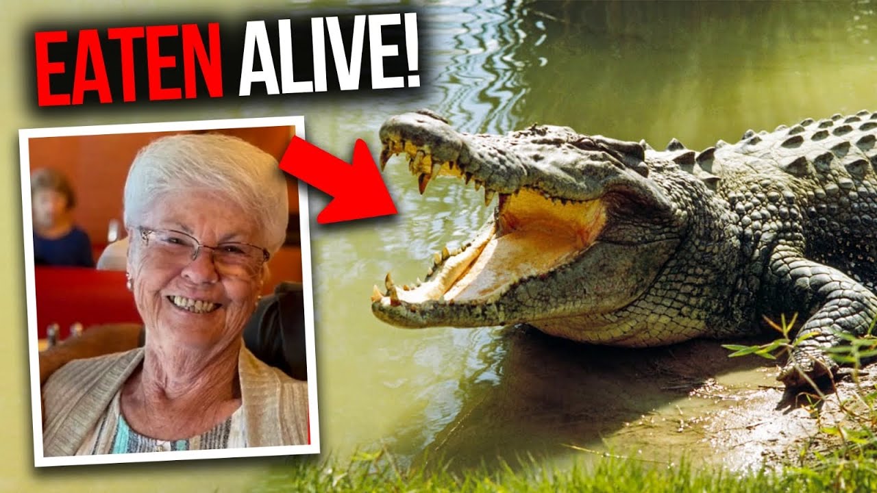 Gloria Serge Alligator Full Video Reddit