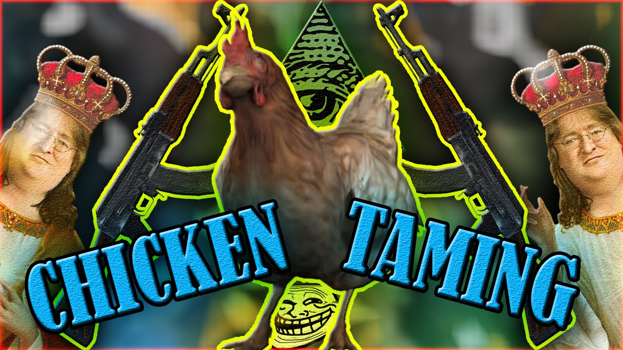 How To CSGO | Chicken Taming! - YouTube