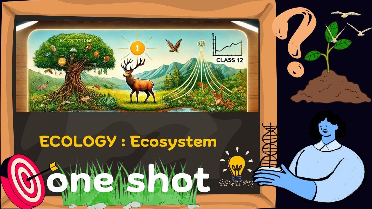 Ecosystem| NCERT Chapter 14 | One-Shot for Boards | SimpliPhy | Biology ...
