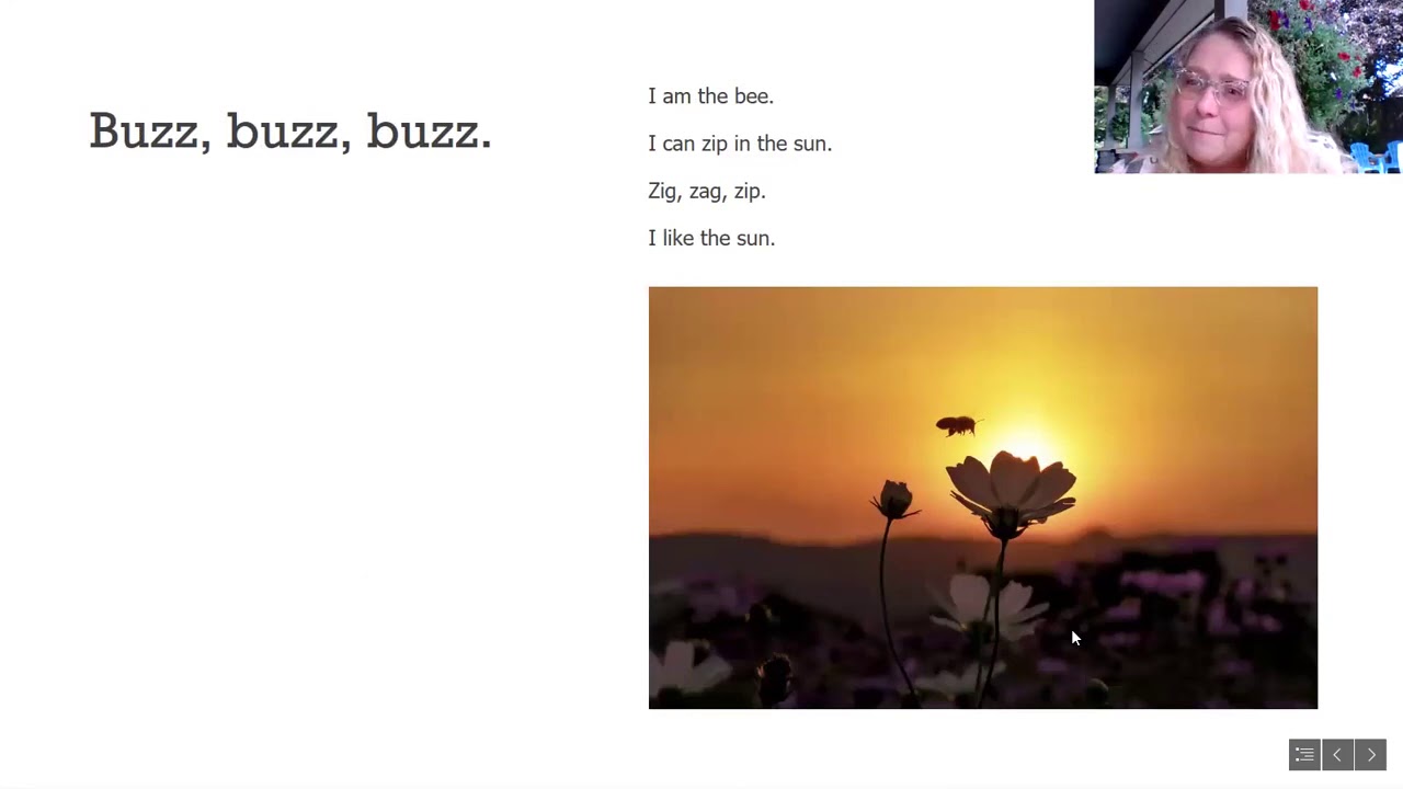 Buzz, Buzz, Buzz Letter Sound Story #20 - YouTube