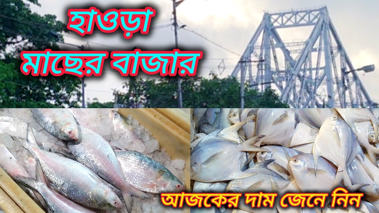 Howrah fish market price today ll wholesale fish market in Howrah ll ...