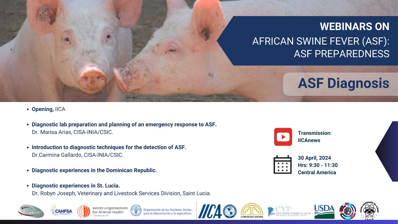 WEBINARS ON AFRICAN SWINE FEVER (ASF): PREPARING FOR ASF ASF Diagnosis ...