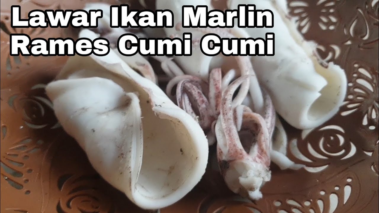 Cara Membuat Lawar Ikan Marlin Dengan Rames Cumi Cumi - PLEK GANAS ...