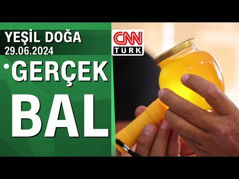 Gerçek balın hikayesi - Yeşil Doğa 29.06.2024 Cumartesi