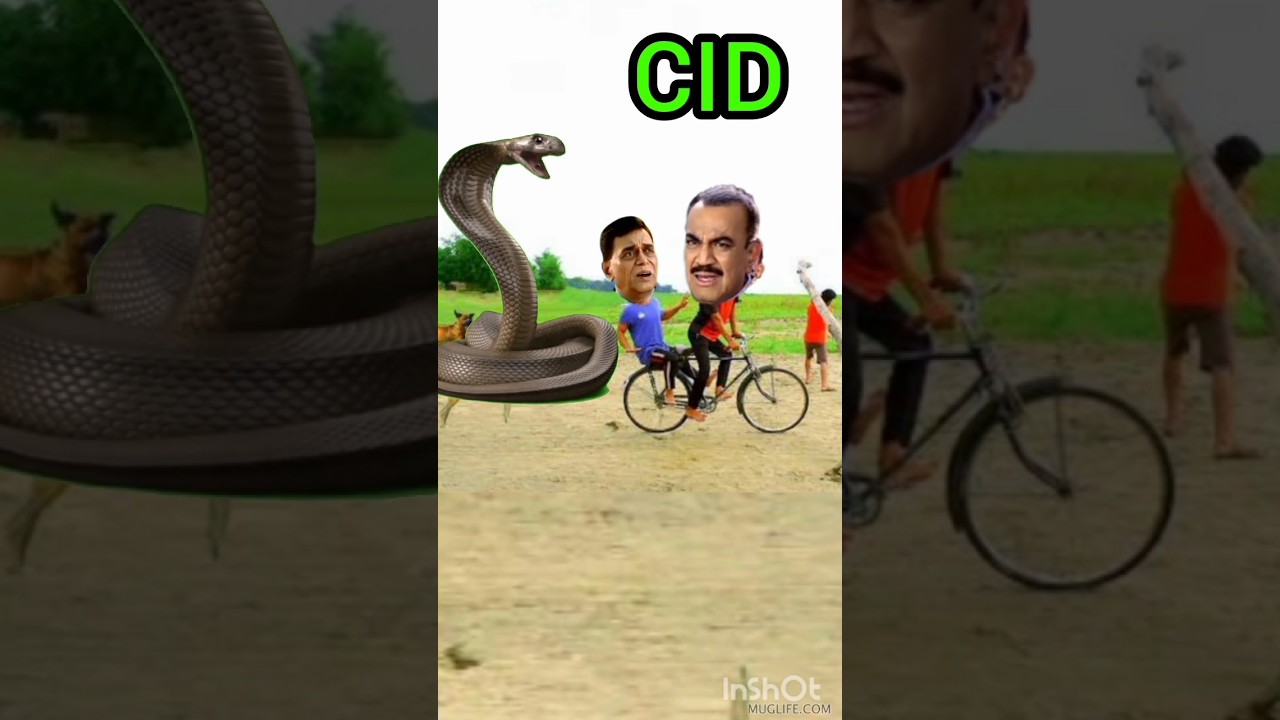 snake se panga Cid new episode VFX chitrole #shorts #viral #cid - YouTube