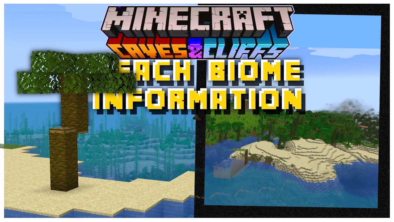 New Minecraft 1.18 BEACH BIOME Information | Minecraft Caves & Cliffs ...
