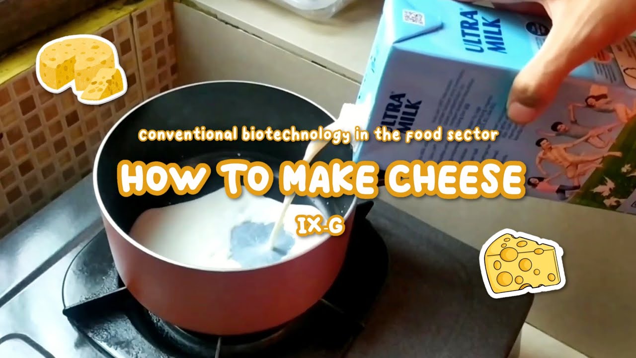 CONVENTIONAL BIOTECHNOLOGY IN THE FOOD SECTOR 'Cheese' | IX G - YouTube