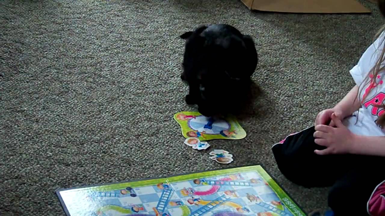 Bear and Chey - YouTube