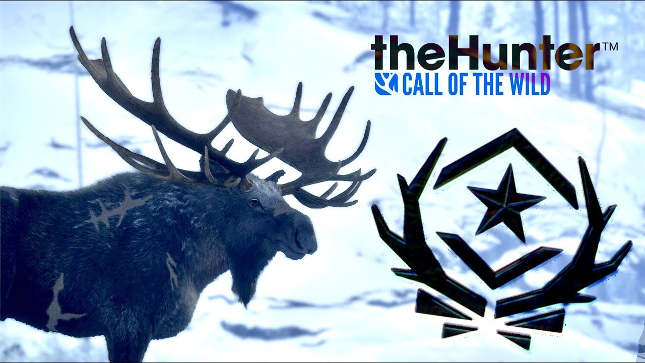 TAKING DOWN THE MOST AGGRESSIVE OLD WARRIOR GREAT ONE MOOSE I HAVE EVER ...