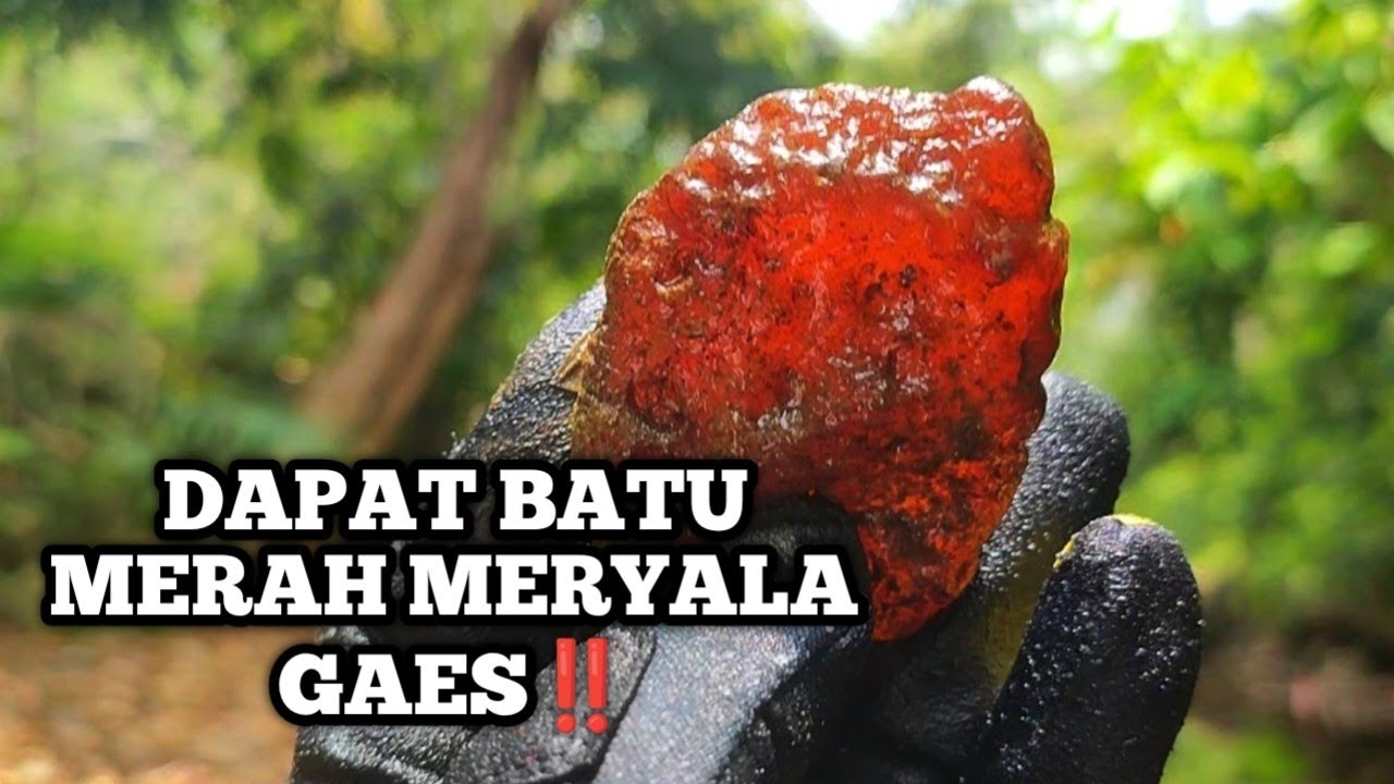 WOW 😱😱 DAPAT BATU MERAH MENYALA GAES‼️DAN BATU BAGUS LUAR BIASA - YouTube