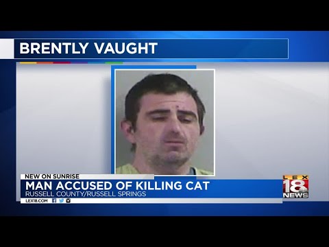 Man Accused Of Killing Cat