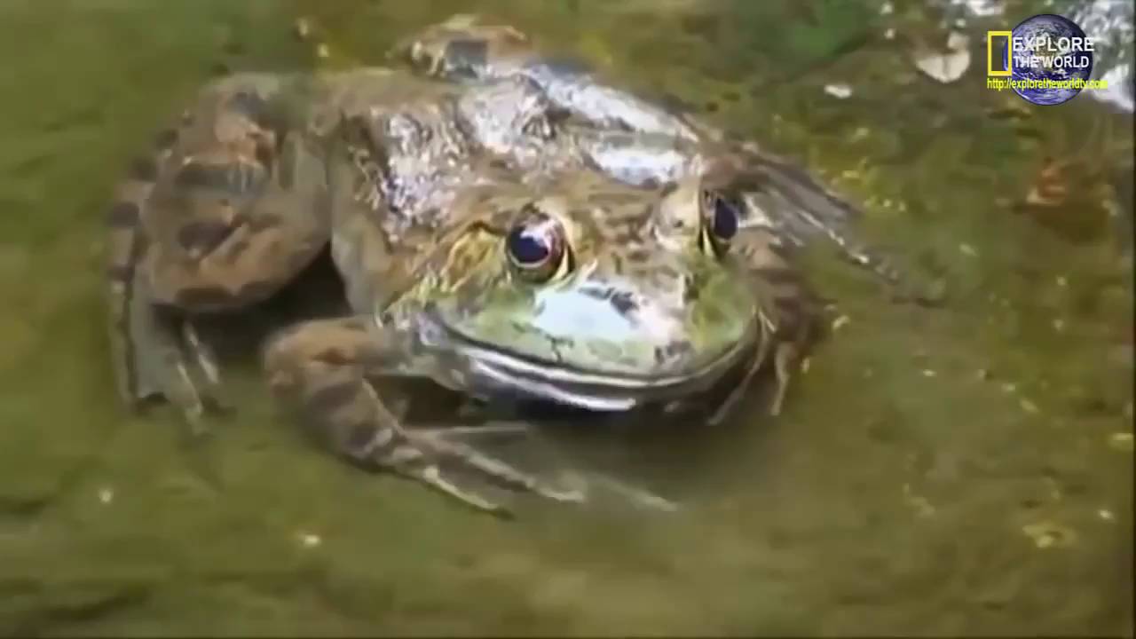 Is the Universe liquid Space Documentary BBC Documentary - YouTube