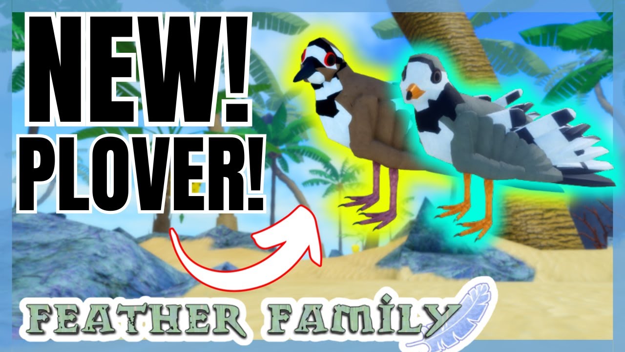 The NEW Plover update in FEATHER FAMILY is HERE!! 🌊🐔 - YouTube