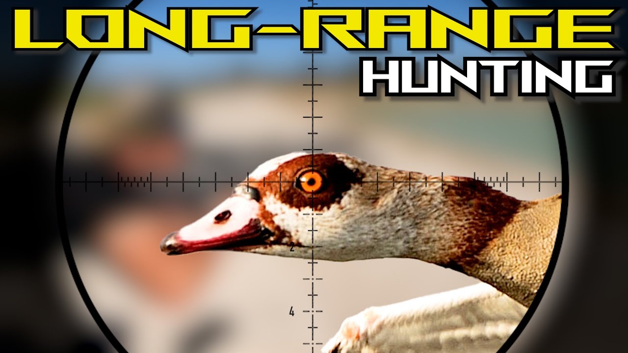 Long-Range Hunting on the dam | FX Impact M3 | FX Wildcat MK3 | Air Gun ...