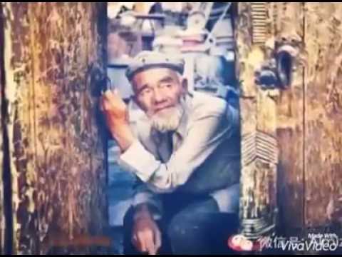 Jan dadam Jenim Dadam| مەۋلۇت ئىبىراھىم | جان دادام جېنىم دادام