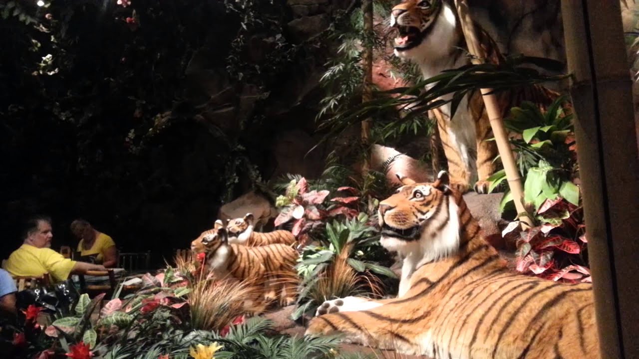 Rainforest Cafe Michigan - YouTube