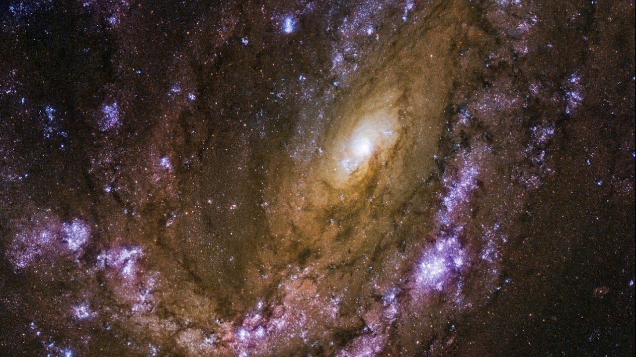 Stella Tenebris - Magni Exolvuntur de Cosmos - YouTube