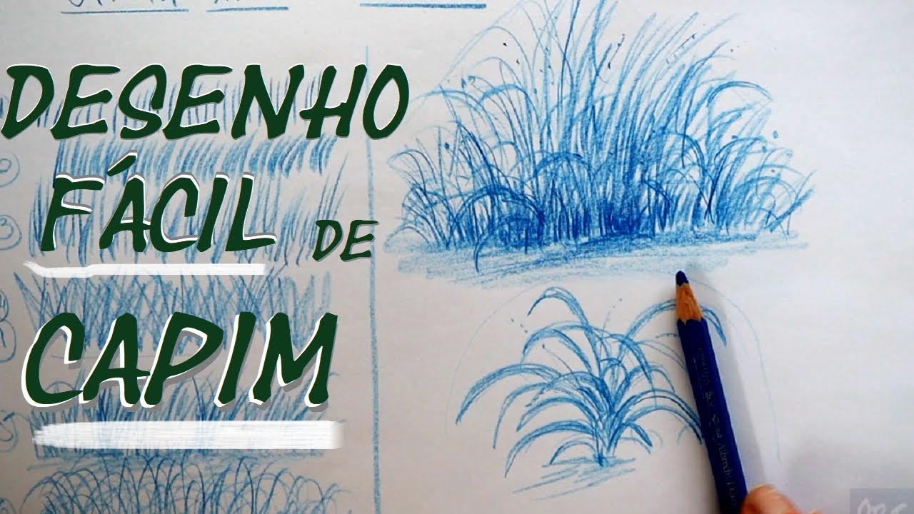 Como DESENHAR CAPIM com LÁPIS de COR! PASSO a PASSO, SEM CORTES! - YouTube