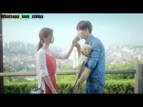 ❤️Mile ho tum humko bade naseebo se ❤️||❤️whatsapp love status video❤️