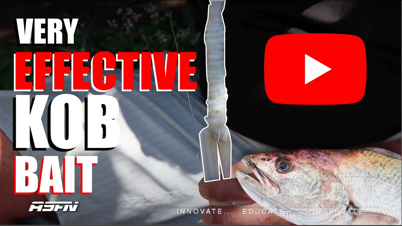 VERY EFFECTIVE KOB BAIT | Mulloway/Kabeljou Tips | ASFN Baits & Traces ...