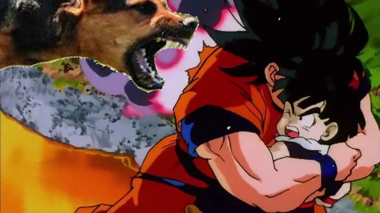 Goku Gets Bullied By A Dog (DBZ Legacy of goku) - YouTube