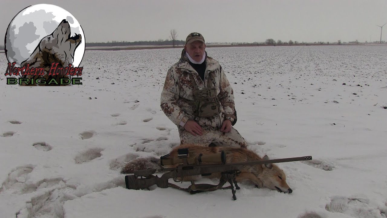 Coyote Hunting NHB 8 Janvier 2019 Paul - YouTube