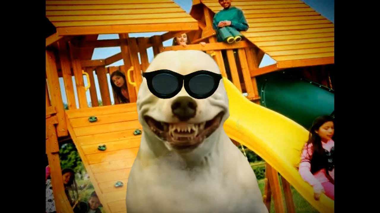 pibbles is here - YouTube