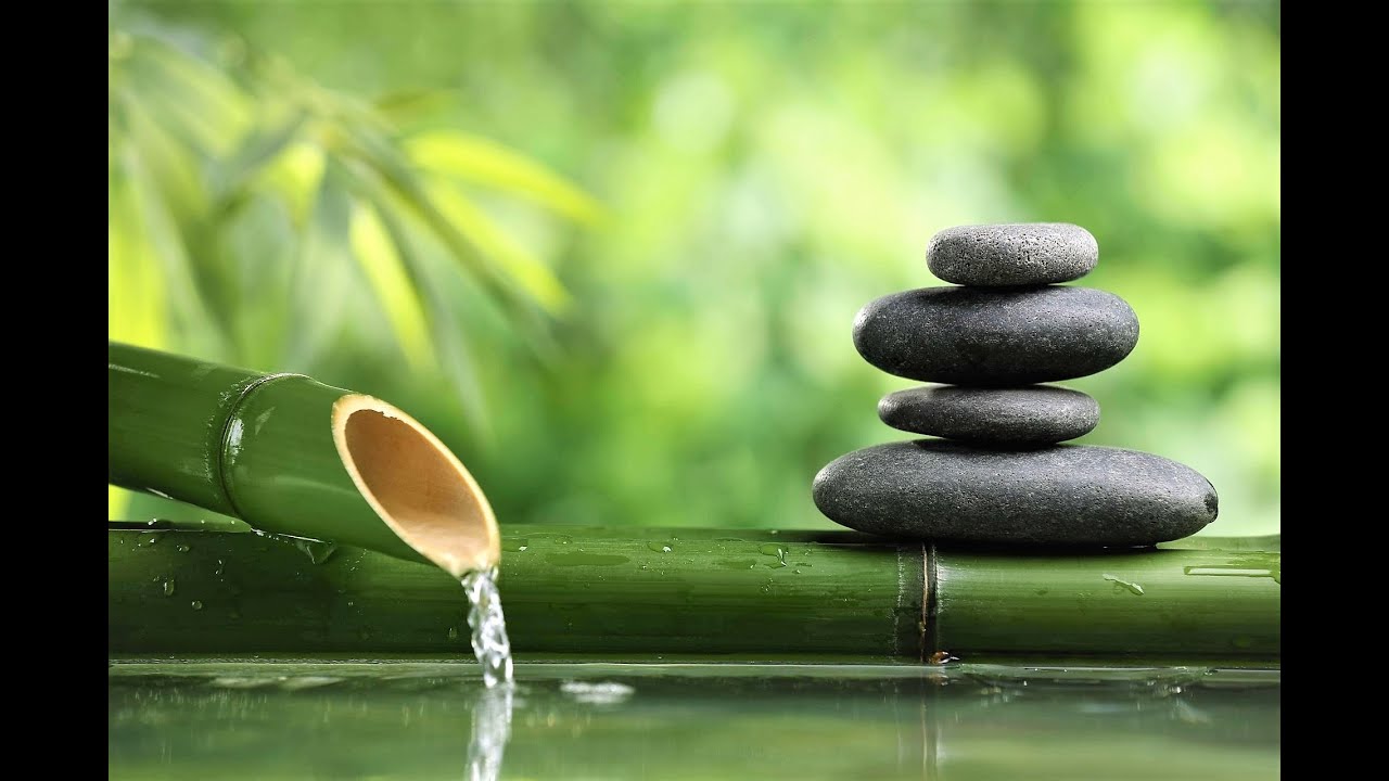 Zen - Motivation from Nature - YouTube