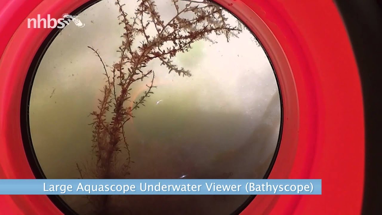 Looking underwater with a large aquascope - YouTube