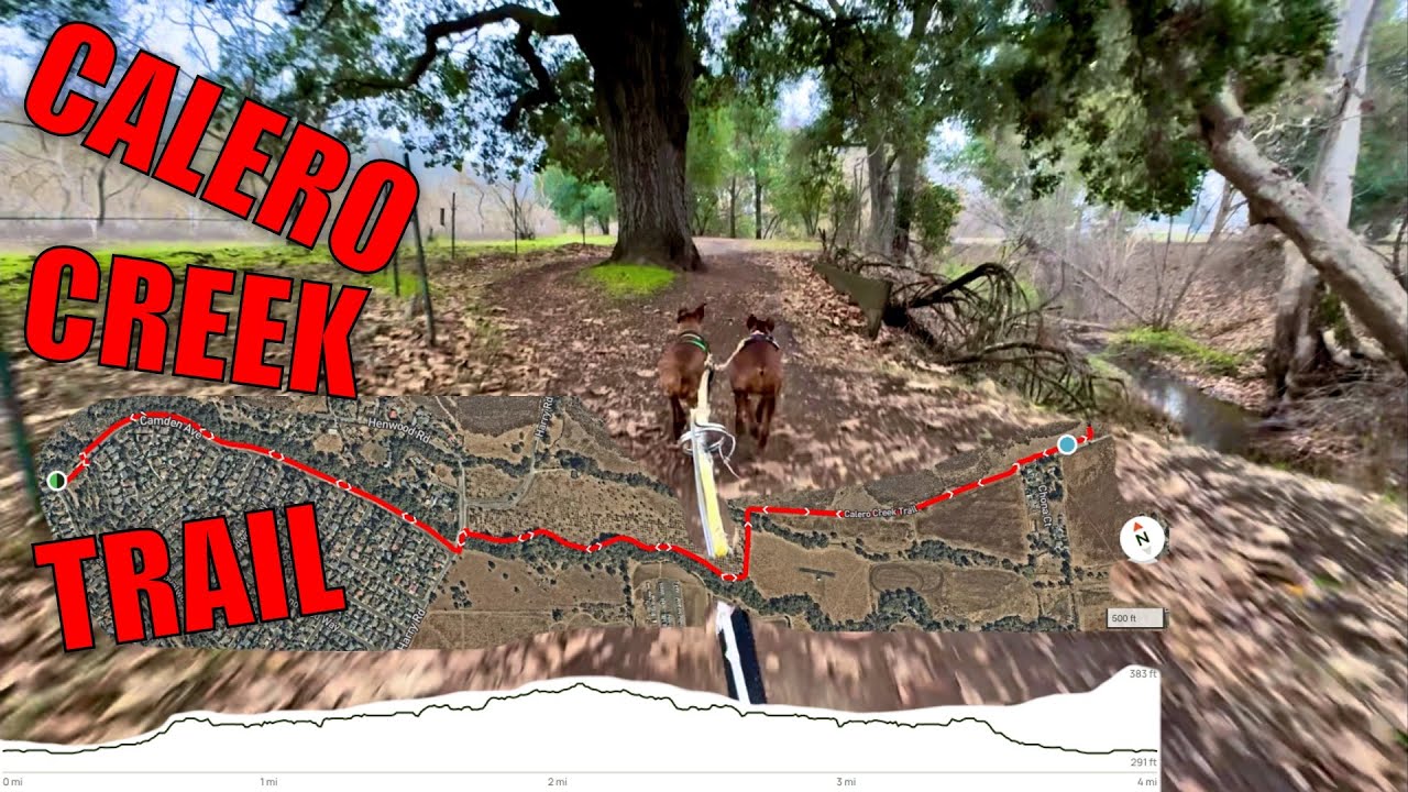 Calero Creek Trail Mush - YouTube