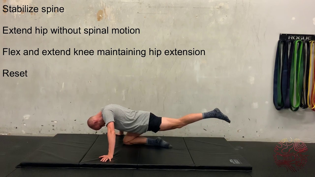 Collapsed Straight Leg Hip Extension + Knee Flexion - YouTube